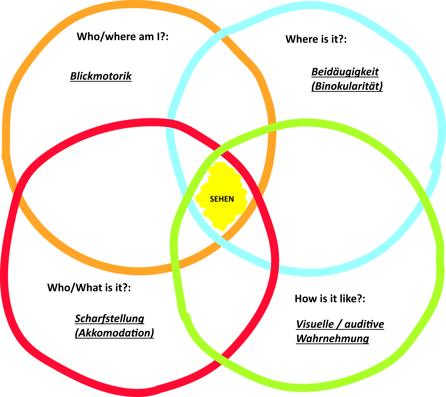 Behavioral optometry - Chiasma Augenschule